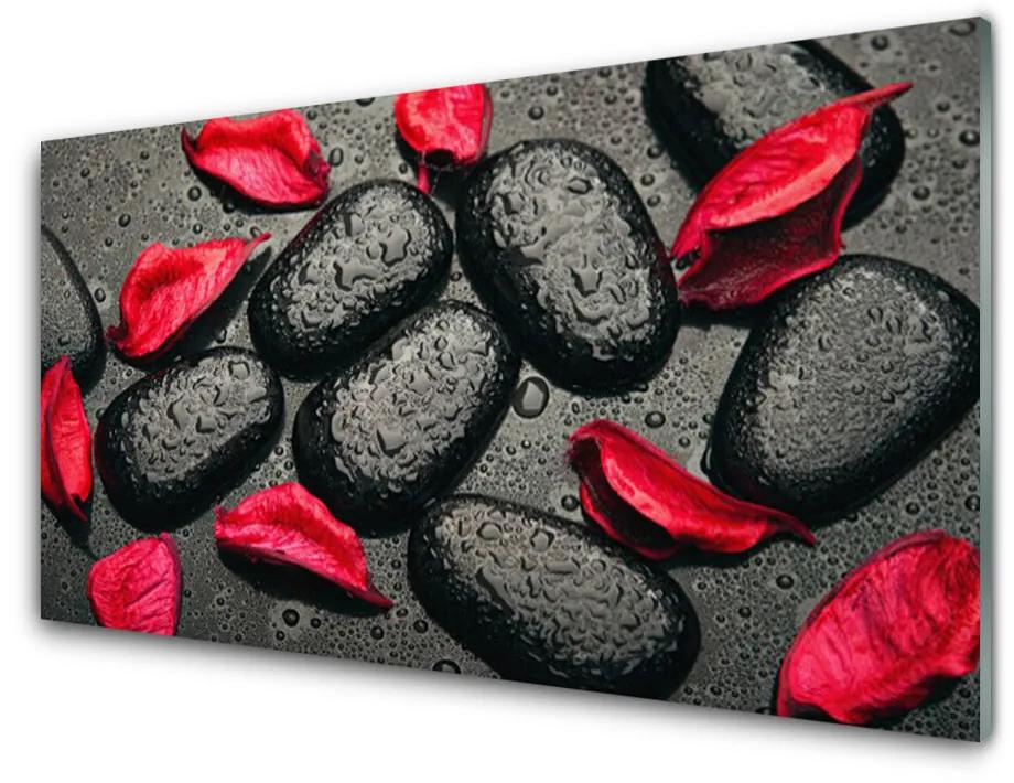 akrylový obraz Plátky Kameny Umění 140x70 cm