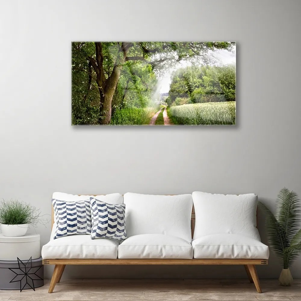 Obraz na skle Stromy Stezka Příroda 100x50 cm