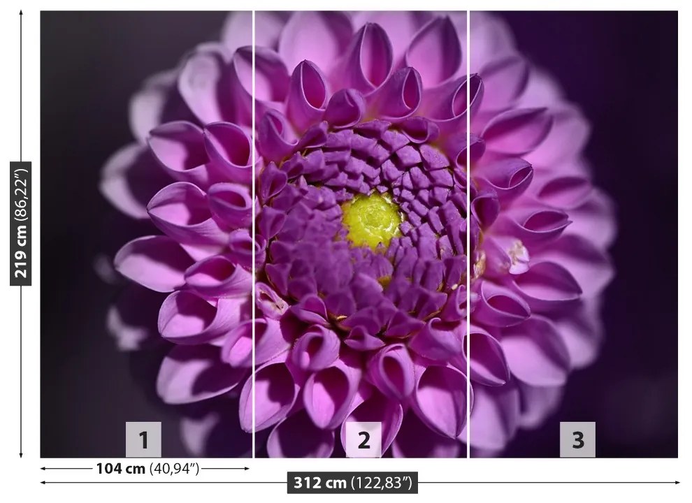 Fototapeta Dahlia růžová 104x70