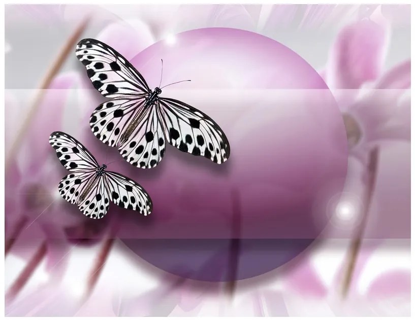 Fototapeta - Fly, Butterfly!