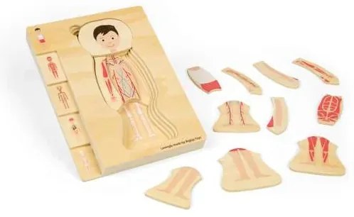 Bigjigs Toys Dřevěné puzzle Anatomie chlapec