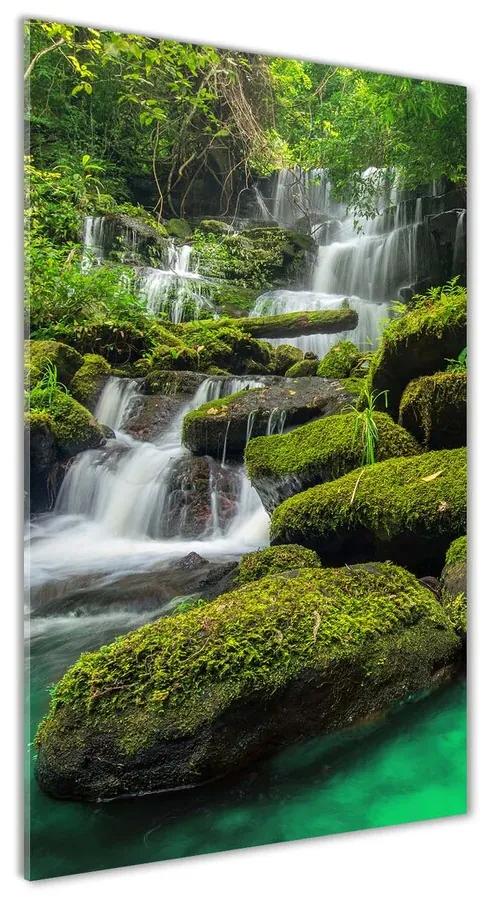 Wallmuralia Fotoobraz na skle Vodopád v džungli 50x100 cm