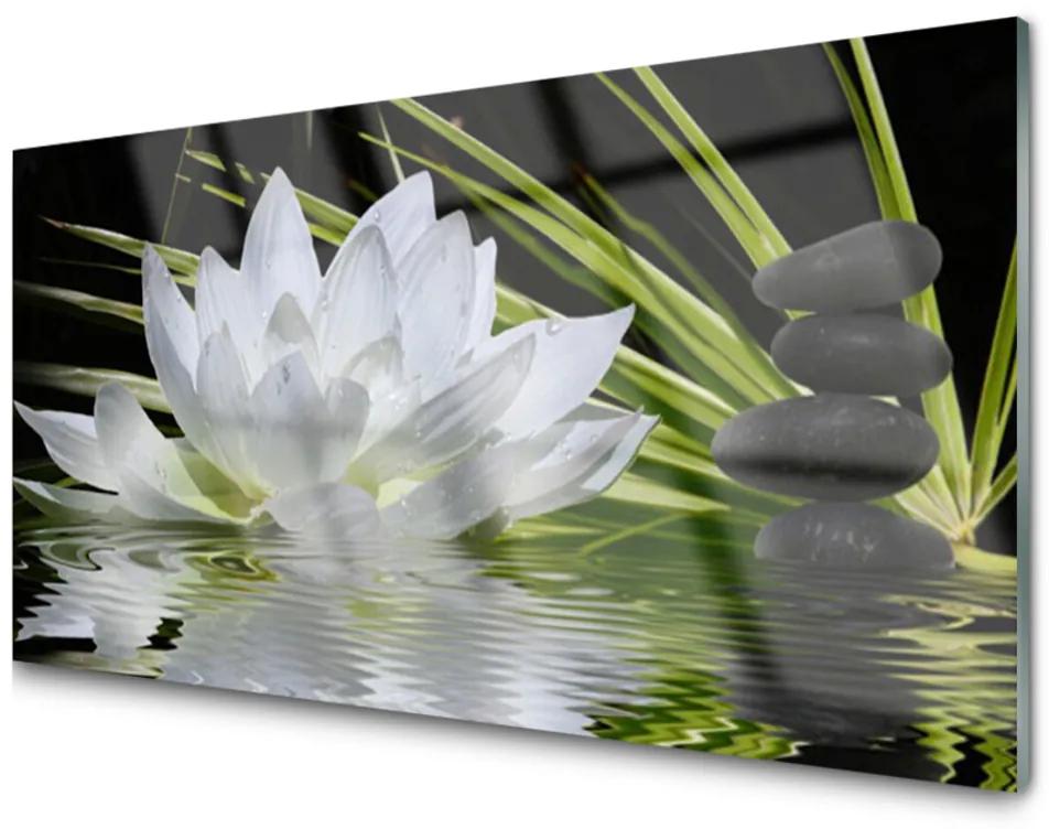 Skleněný obraz Květiny Kameny Zen Voda
