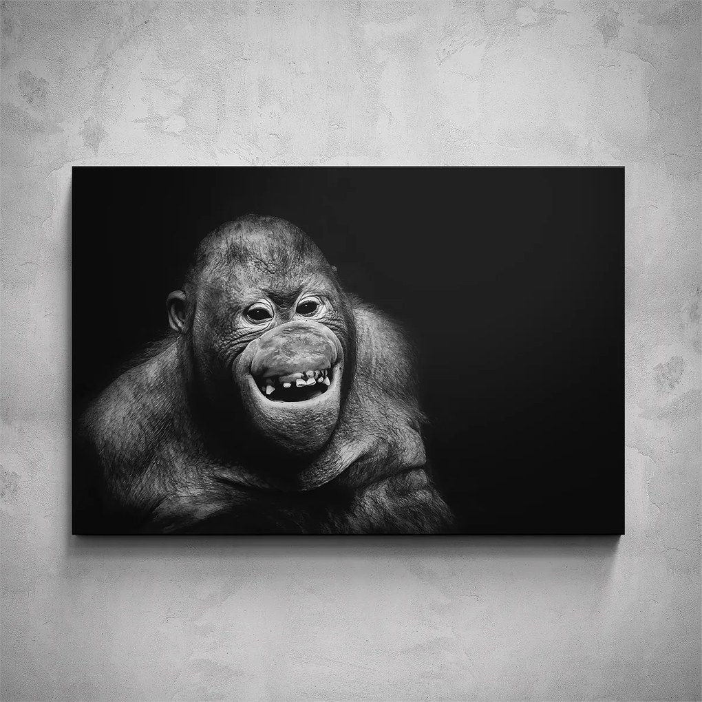 Obraz - Orangutan - PopyDesign