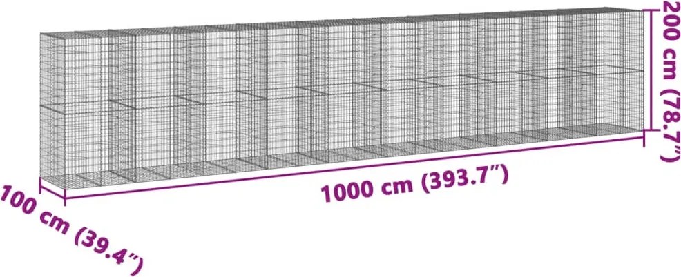 Gabionový koš s víkem 1 000 x 100 x 200 cm pozinkované železo 3295243