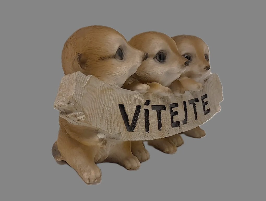 Figurky Surikaty - vítejte
