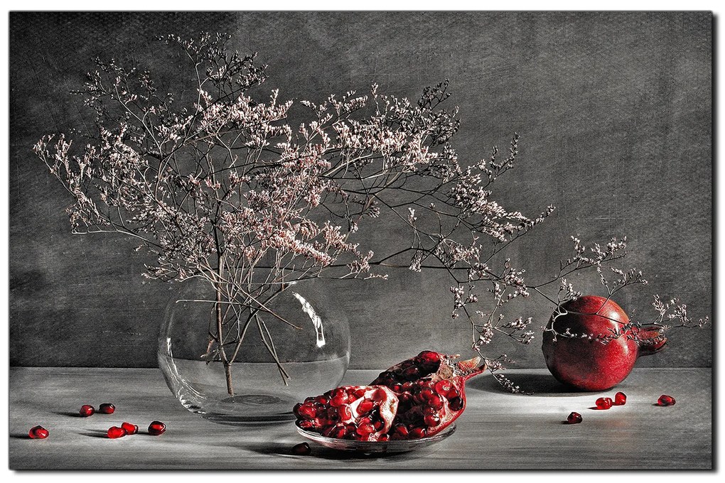 Obraz na plátně - Zátiší - větev a granátové jablko 1274QA (90x60 cm  )