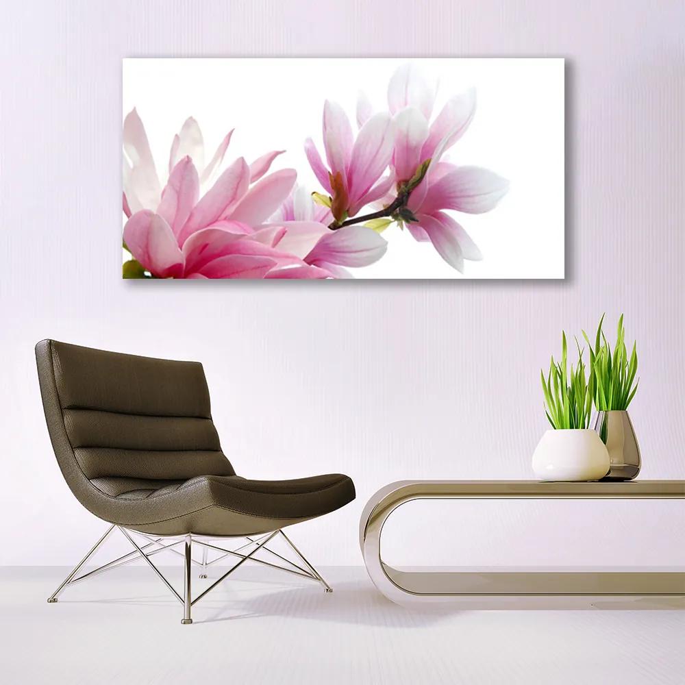 akrylový obraz Magnolie Květ 120x60 cm