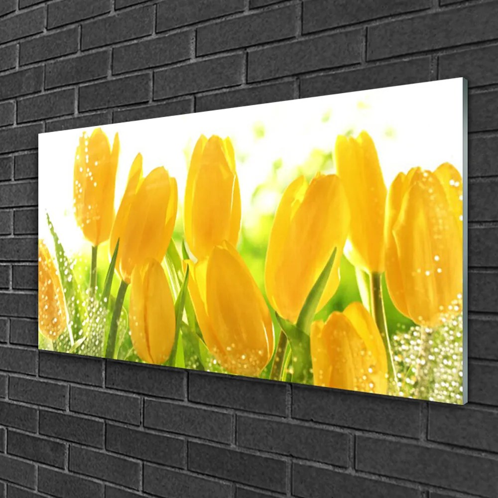 Obraz na skle Tulipány Květiny Rostlina 100x50 cm