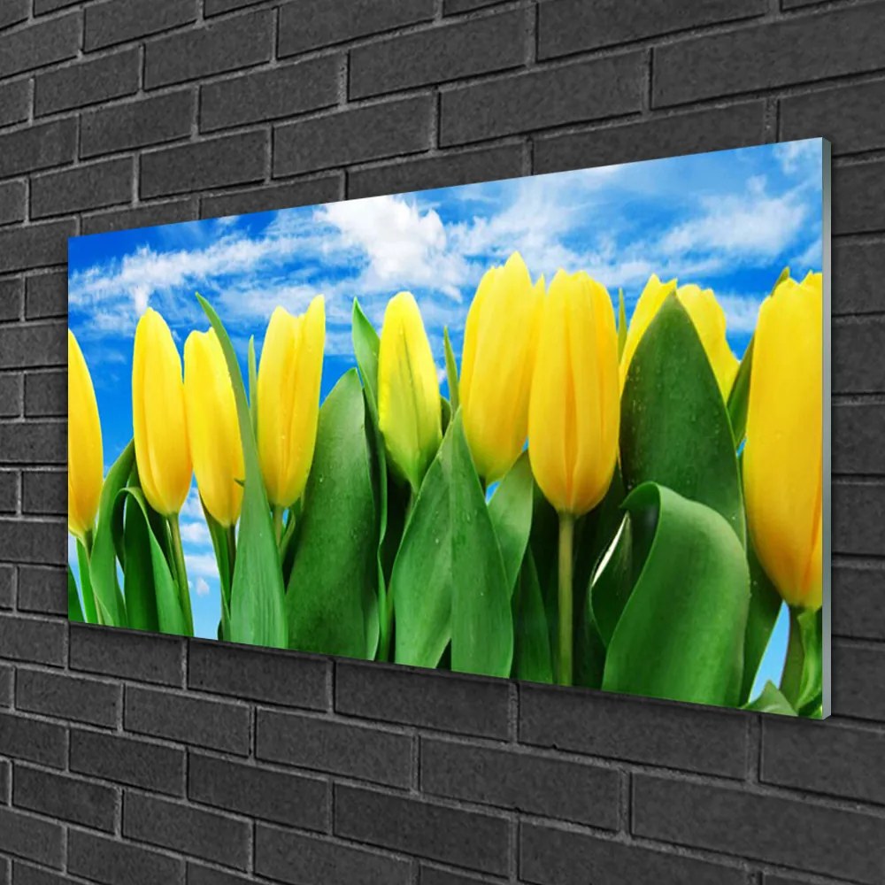 Obraz na skle Tulipány Květiny 125x50 cm