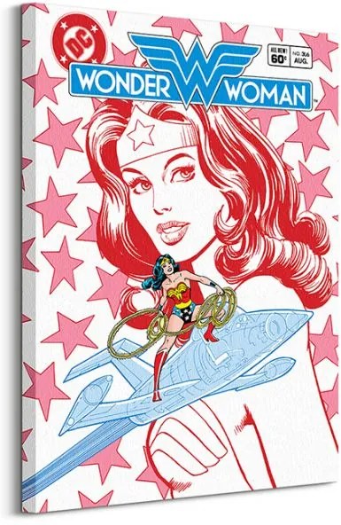 Obraz na plátně DC Comics Wonder Woman (Stars) 60x80cm WDC99360
