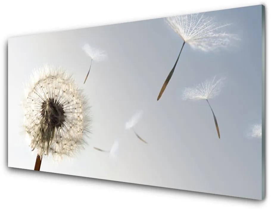 Obraz na skle Pampeliška Květiny Příroda 120x60 cm