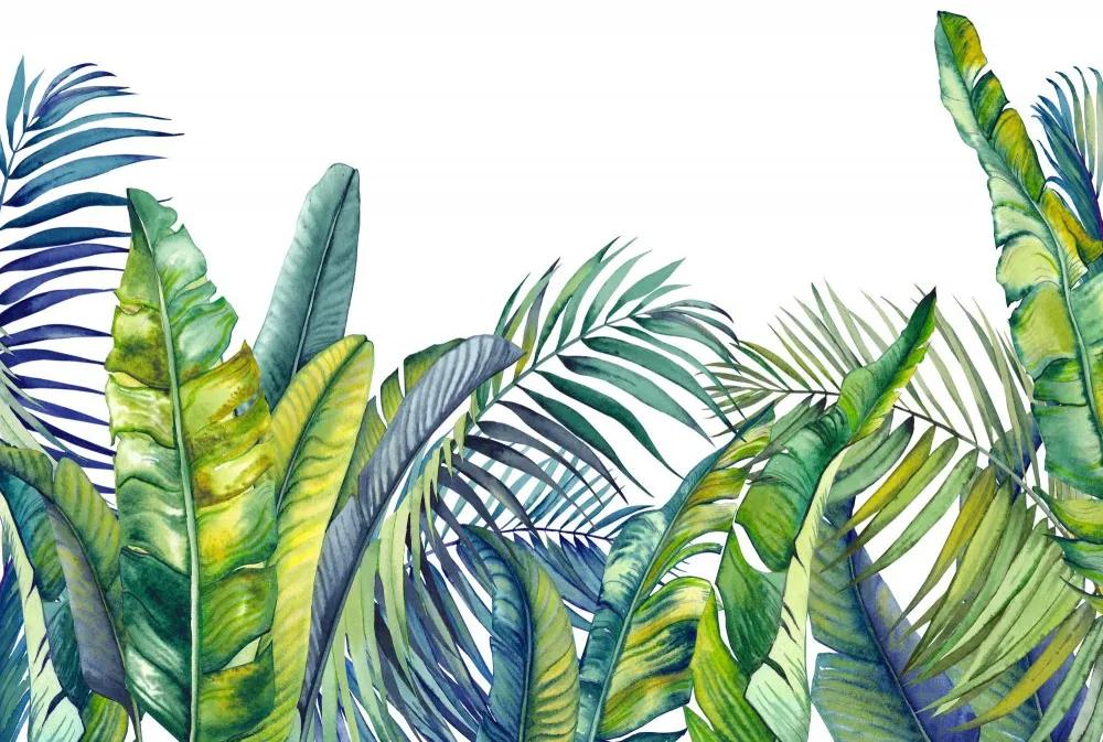 Fototapeta Zelené A Modré Tropické Rostliny Omyvatelný vlies 416x254
