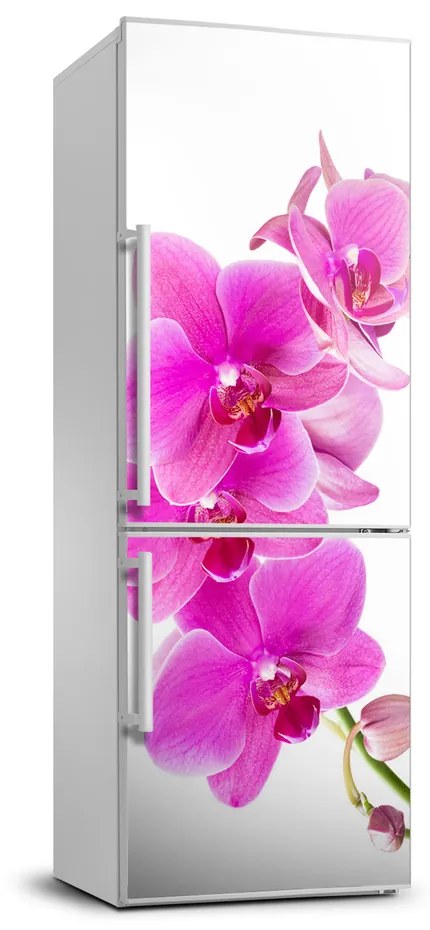 Wallmuralia Nálepka fototapeta Růžová orchidej 60x180 cm