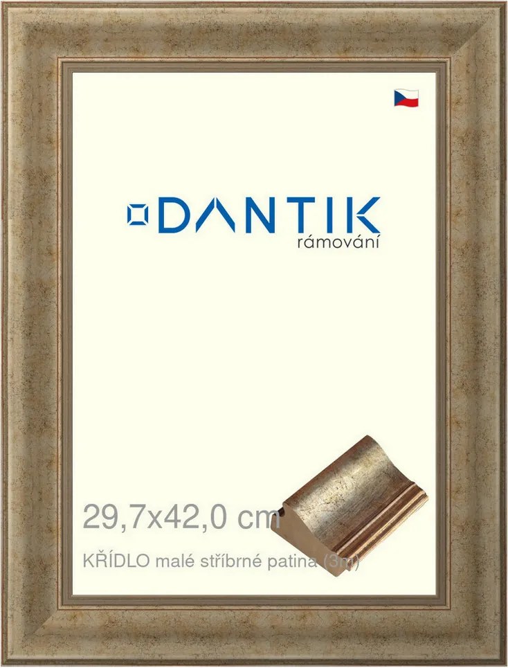 DANTIK rámeček 29,7x42 | KŘÍDLO malé stříbrné patina (Plexi Čiré)