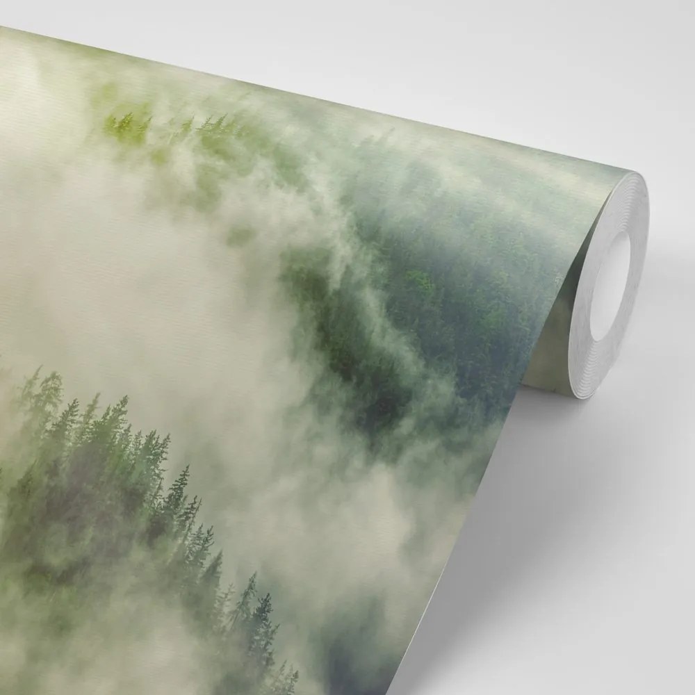 Samolepící fototapeta mlhavý les