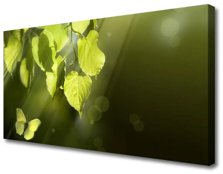 Obraz na plátně Listy Slunce Paprsky 140x70 cm