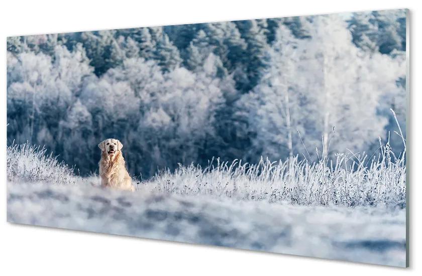 akrylový obraz Zimě salašnický pes 100x50 cm