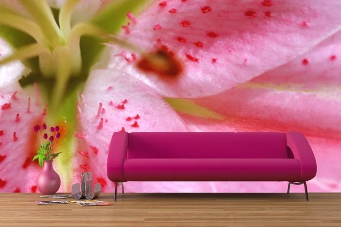 Foto tapeta Růžová květina - 126 x 83 cm