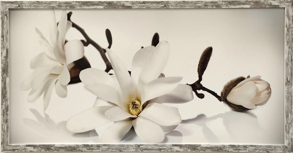 Bondecor Obraz "Magnolie" - tisk na papír, zarámovaný, 100x50cm