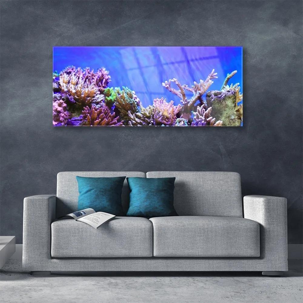 akrylový obraz Korálový Útes Příroda 125x50 cm