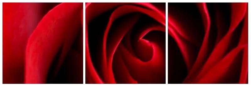 Obraz červené růže (90x30 cm), 40 dalších rozměrů