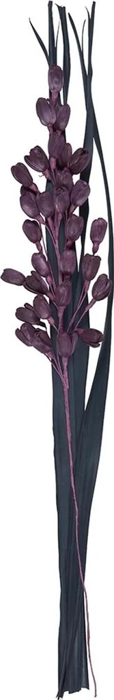 Sušená kytice Lilie Midnight Mystery purpurově černá, 95 cm