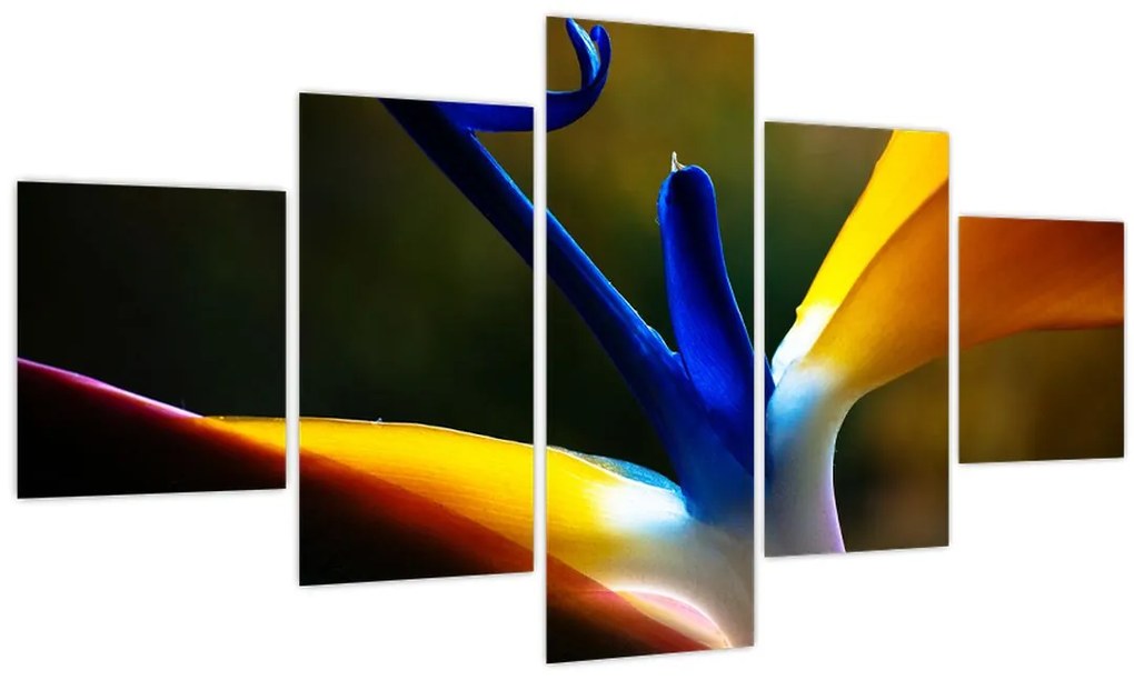 Obraz - Exotický květ (125x70 cm)