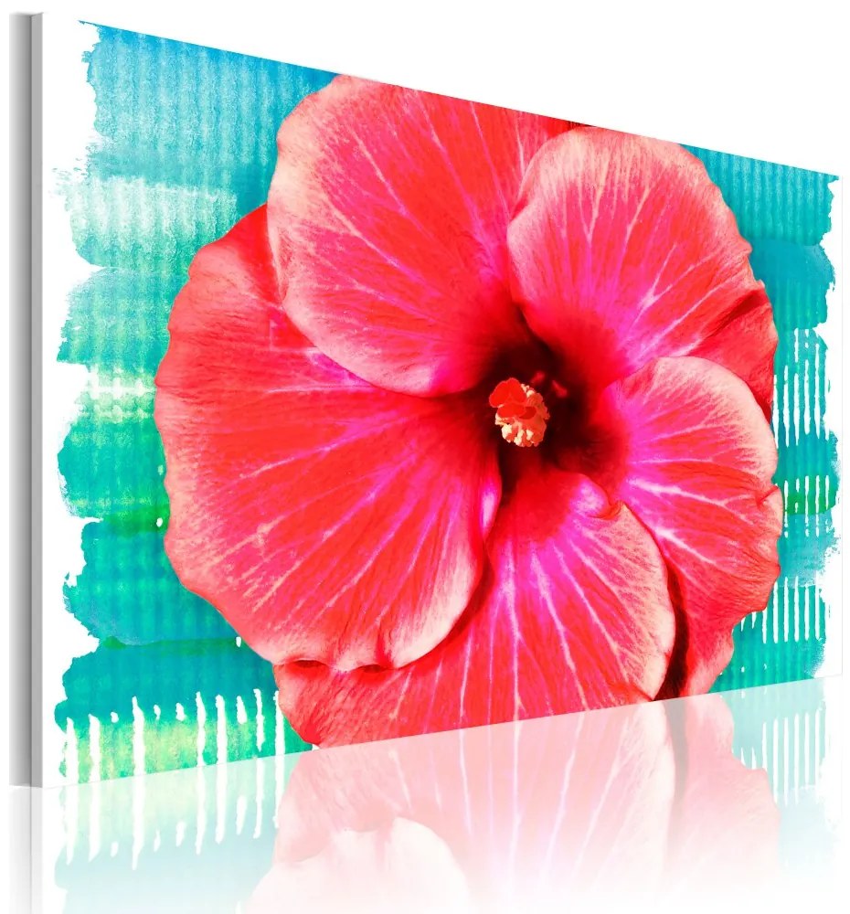 Obraz na plátně Bimago - Hawaiian flower 60x40 cm