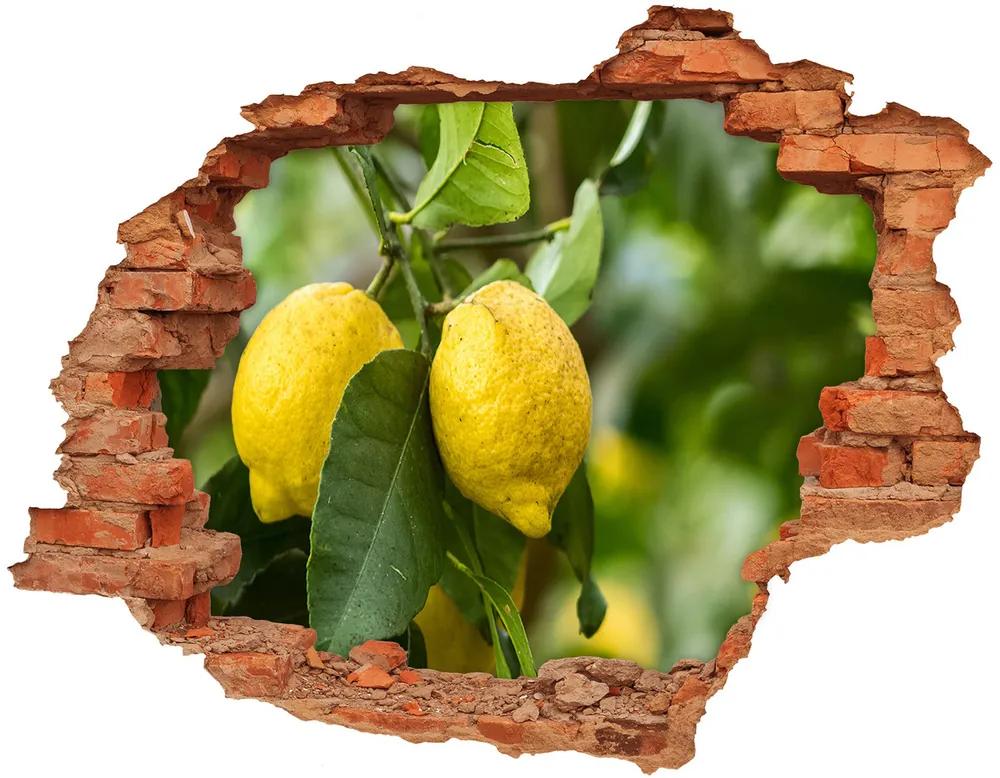 Wallmuralia Samolepící nálepka Citrony na stromě 90x70 cm