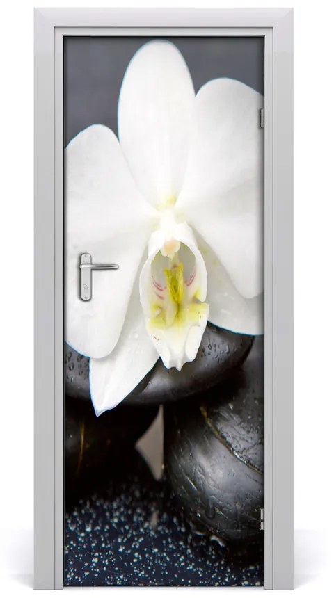 Fototapeta na dveře Orchidej zen 95x205 cm