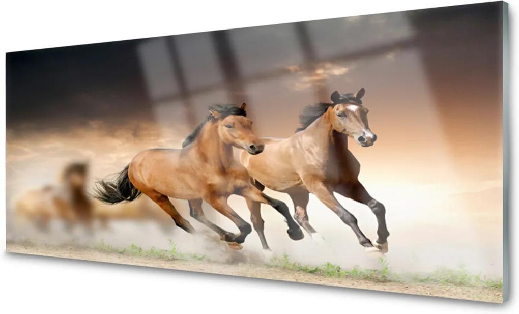 Akrylové obraz Skleněný Koně Zvířata