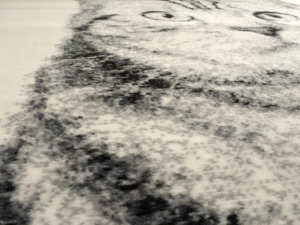 Alfa Carpets, Kusový koberec Cat grey, 160x230, šedá, dětský pokoj