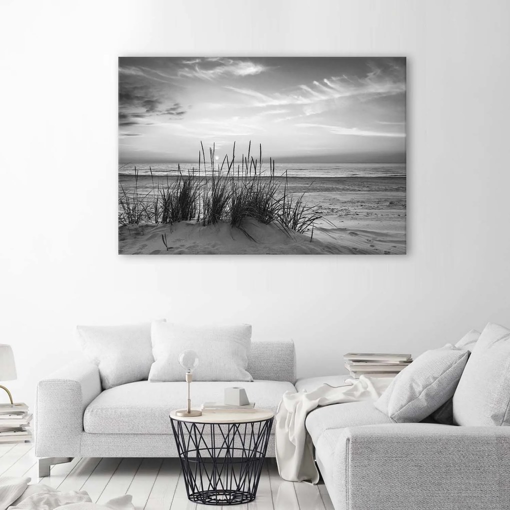 Gario Obraz na plátně Trávy na pláži - černobílý Rozměry: 60 x 40 cm