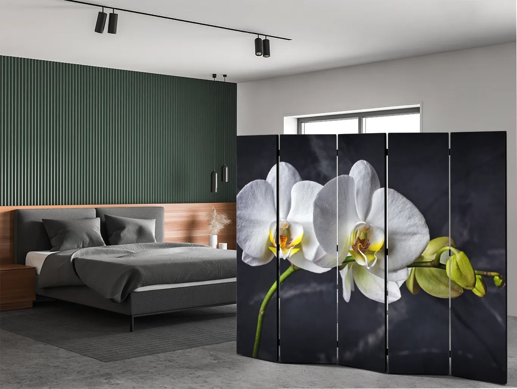 Liox PARAVÁN BÍLÁ ORCHIDEJ NA ČERNÉM POZADÍ Rozměr: 225 x 180 cm