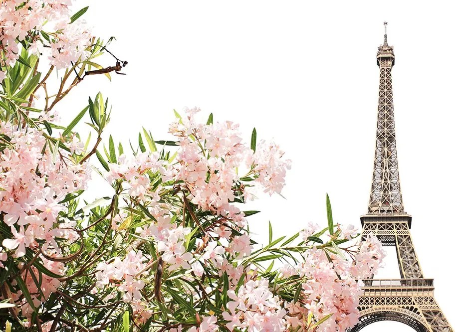 Samolepící fototapeta Eiffelova věž a růžové květy
