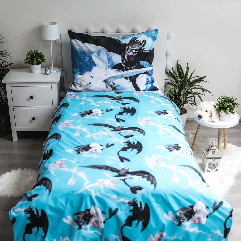 Jerry Fabrics Povlečení Jak vycvičit draka Sky 140x200, 70x90 cm