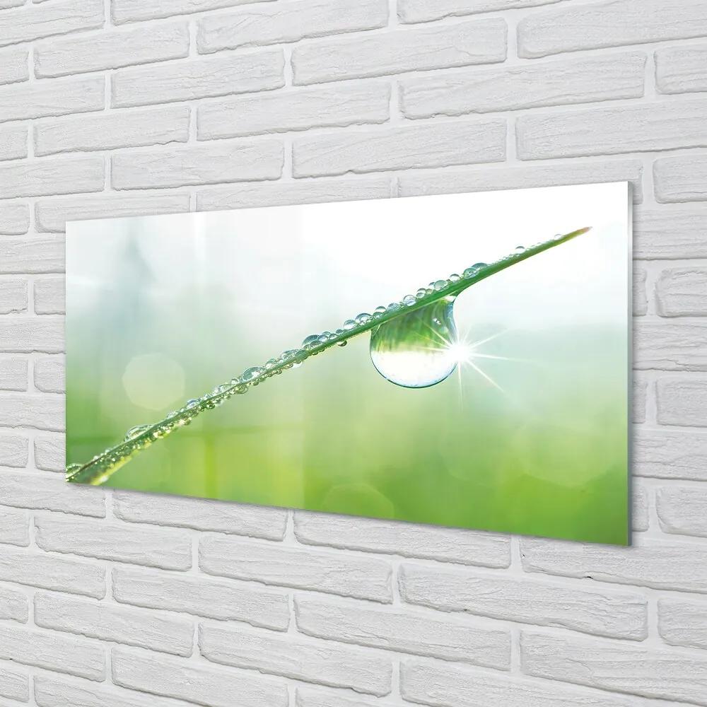 Obraz na skle Drop tráva makro 140x70 cm