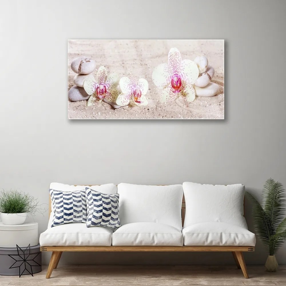 Plexisklo-obraz Orchidej Kameny Zen Písek 100x50 cm
