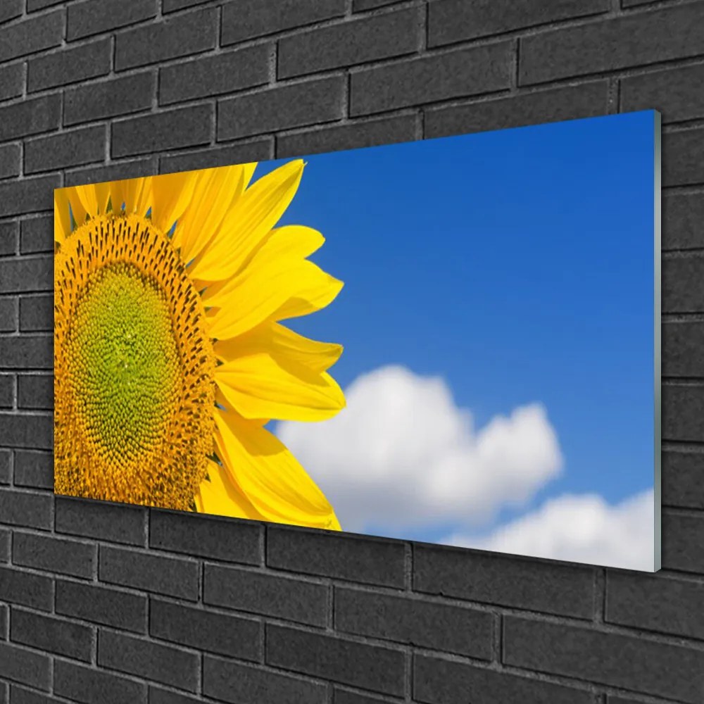 Obraz na skle Slunečnice Mraky 140x70 cm