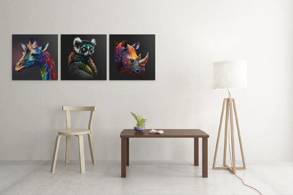Obraz na plátně - barevný Lemur FeelHappy.cz Velikost obrazu: 100 x 100 cm