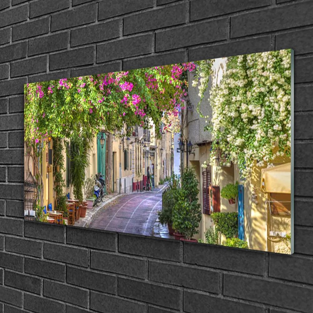Obraz na skle Aleje Květiny Domy Rostlina 125x50 cm