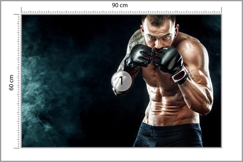 Fototapeta Soustředěný Boxer Hladký vinyl 135x90