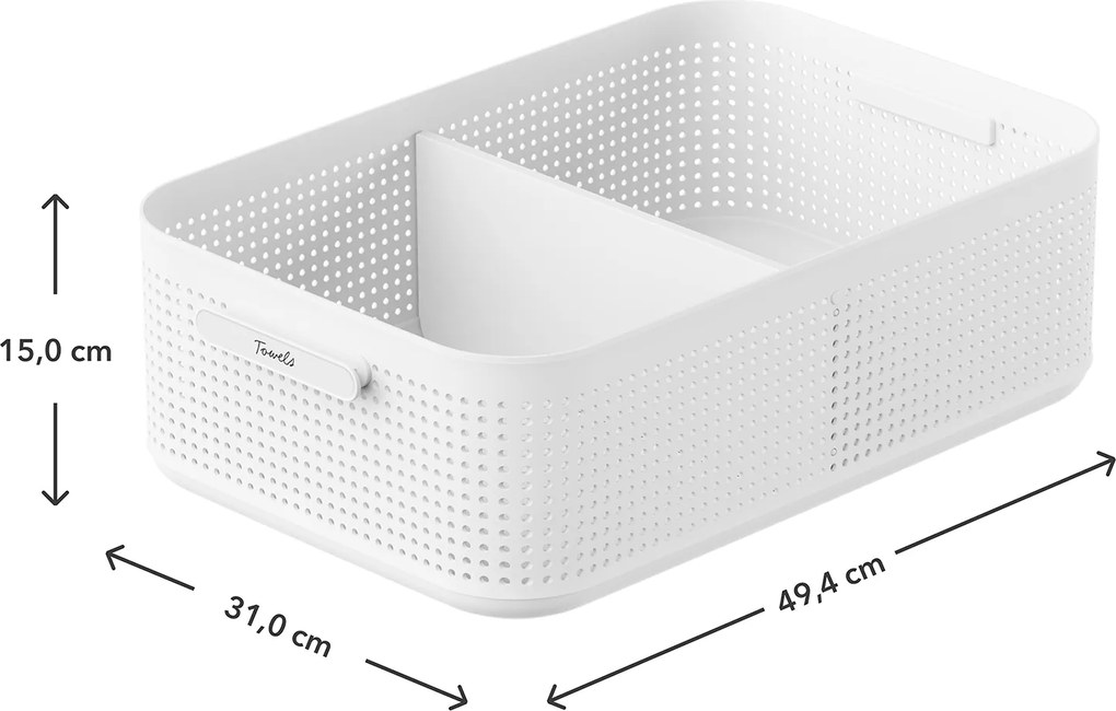 Rotho Úložný box do skříně, šatní organizér LISORA - L, 49,4 × 31 × 15 cm