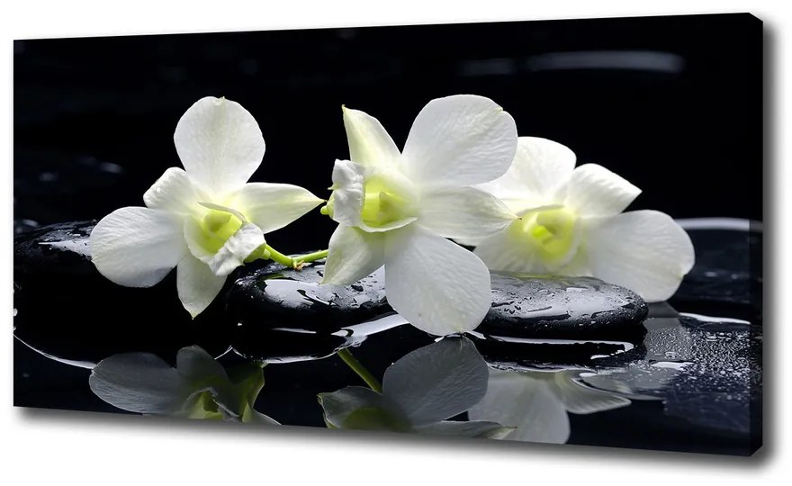 Wallmuralia Foto-obraz canvas do obýváku Orchidej 100x50 cm