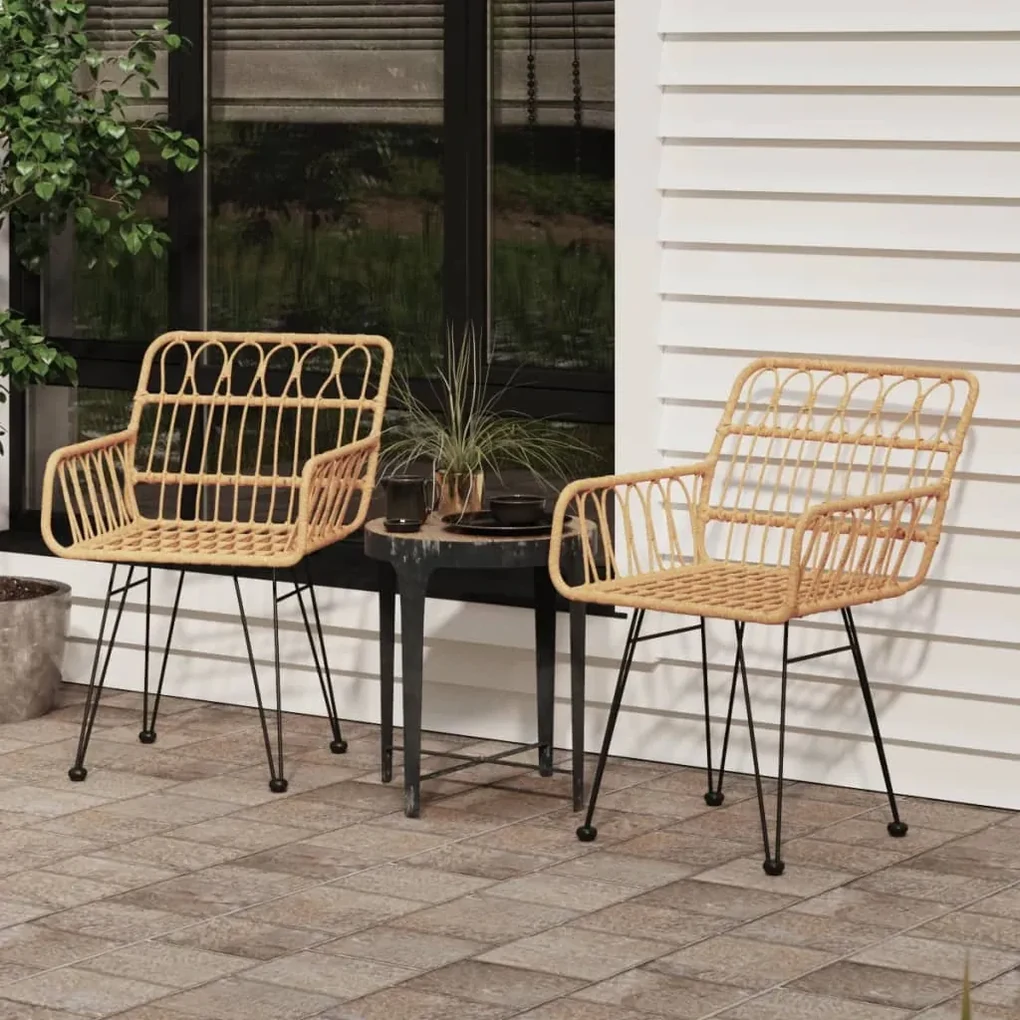 Zahradní židle 2 ks s područkami 56 x 64 x 80 cm PE ratan, 319426 | BIANO
