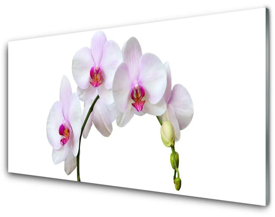 Obraz na skle Vstavač Orchidej Květiny 120x60 cm