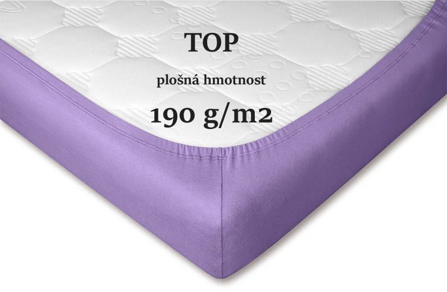 DADKA Jersey prostěradlo fialové Rozměr 60x120x10 dětské