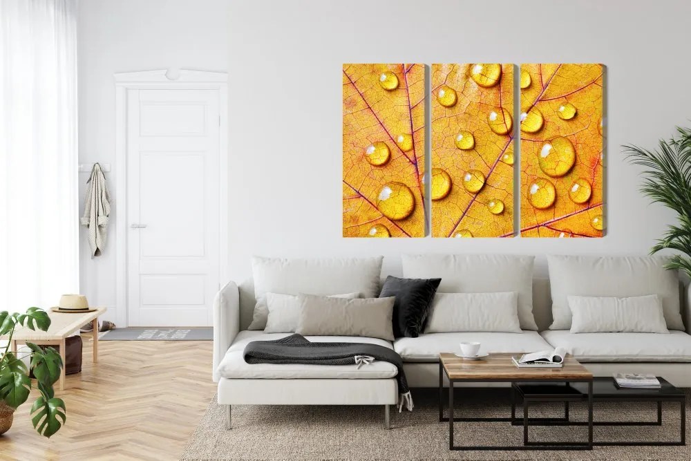 Vícedílný obraz Kapky Vody Na Podzimní Listí Makro Nedostatek Nedostatek Plátno Canvas 120x80