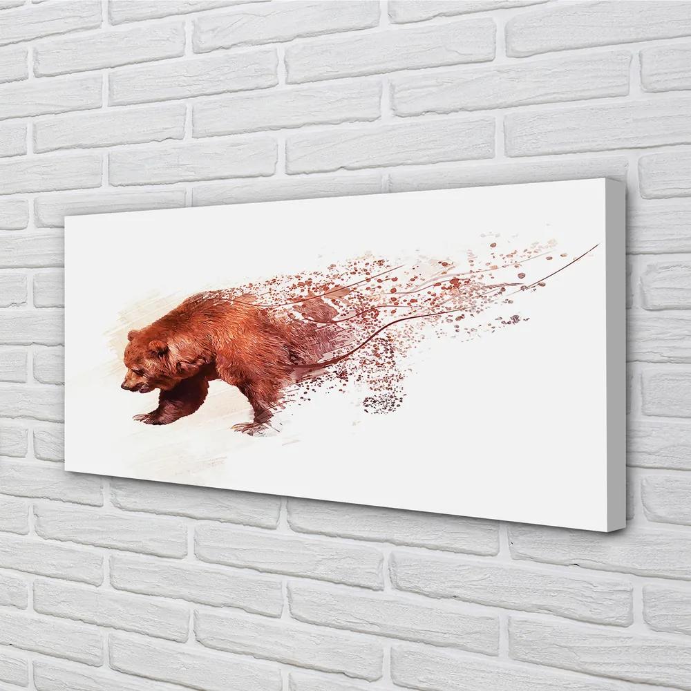 Obrazy na plátně Medvěd 100x50 cm
